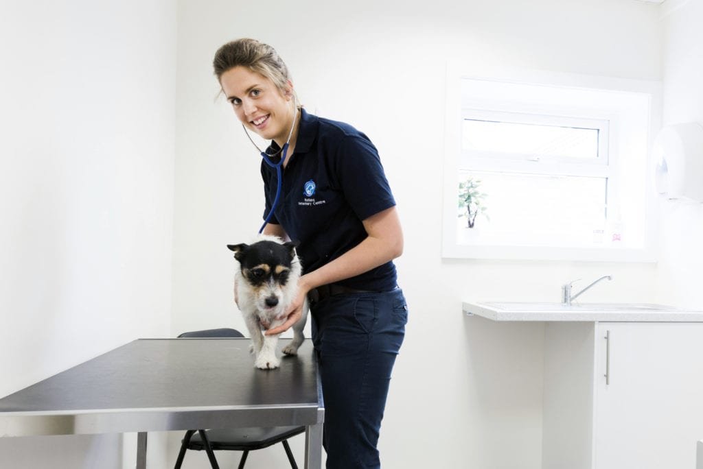 Our Market Harborough Surgery - Rutland Vets