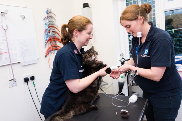 Our Uppingham Surgery - Rutland Vets