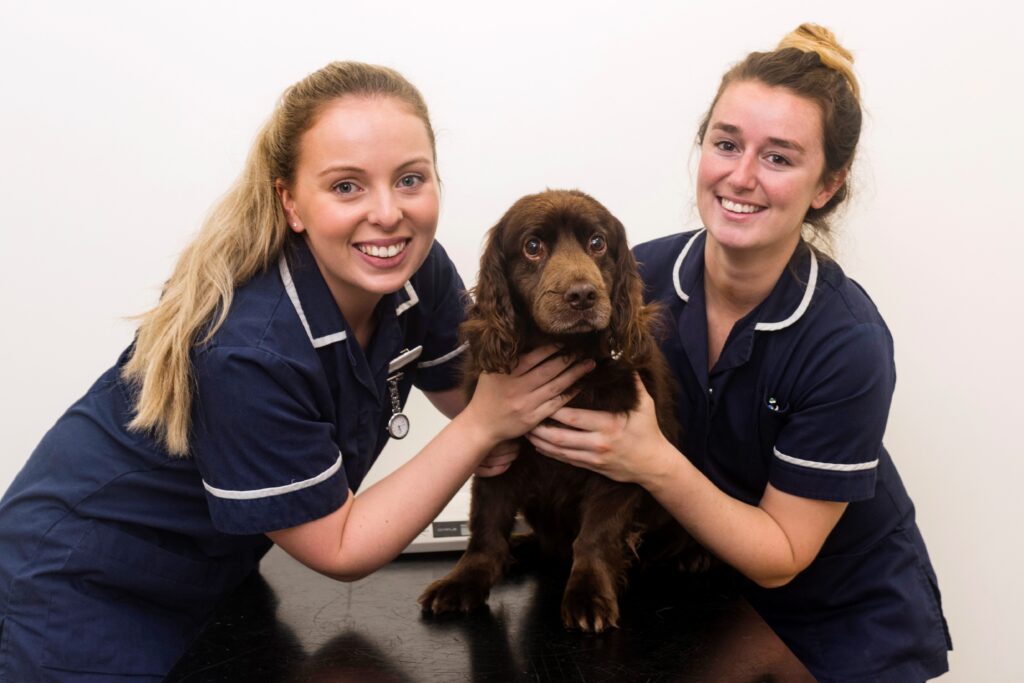 Our Veterinary Surgeries | Northamptonshire Vets | Rutland Vets