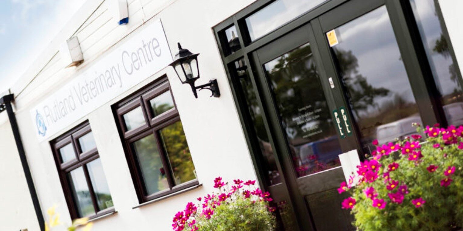 Rutland and Kings Veterinary Centres join Linnaeus | Rutland Vets